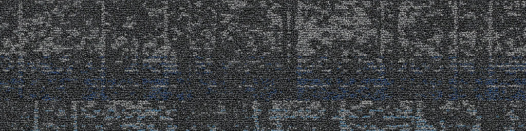 Chamelion | Gateway Surfaces