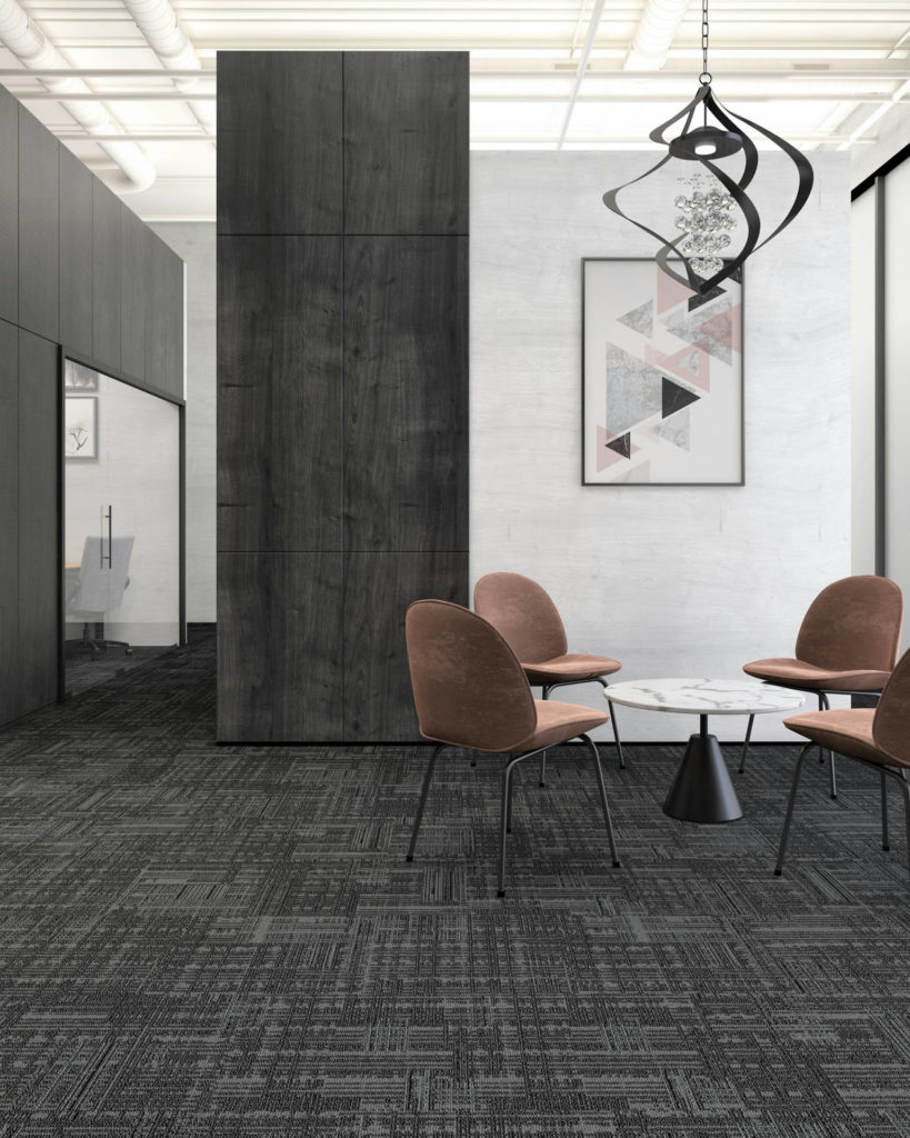 Squalus | Gateway Surfaces