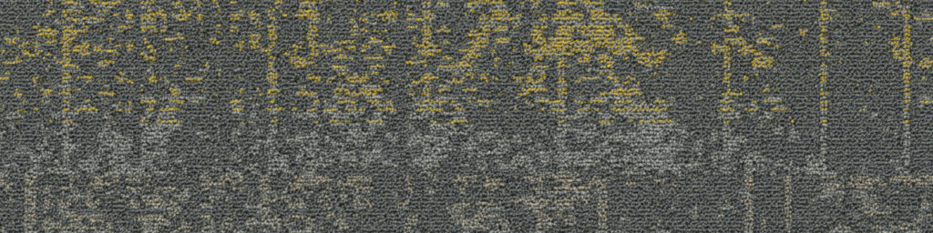 Slide | Gateway Surfaces